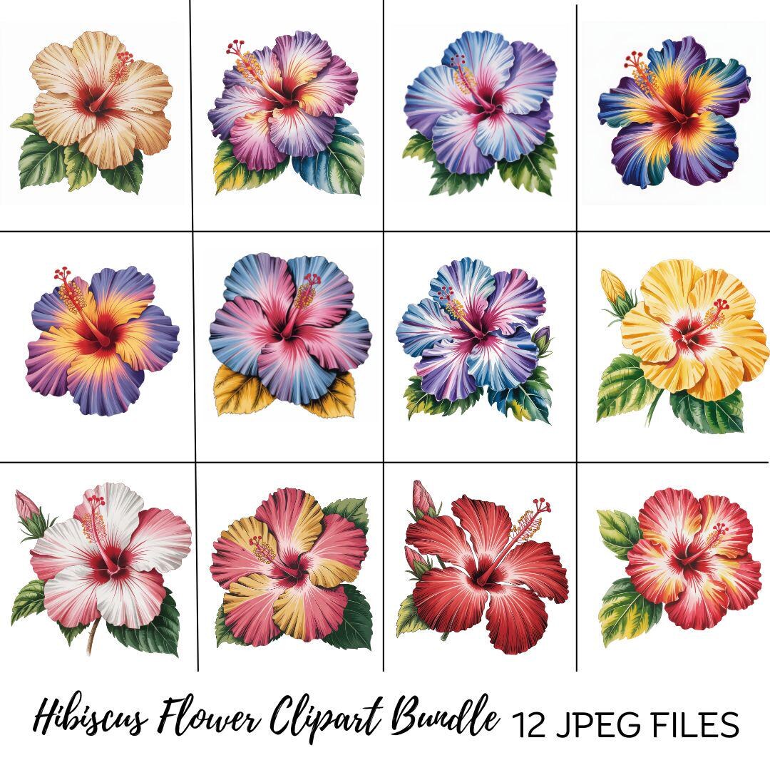 Watercolor Hibiscus Clipart Bundle: Tropical Floral Designs (digital ...