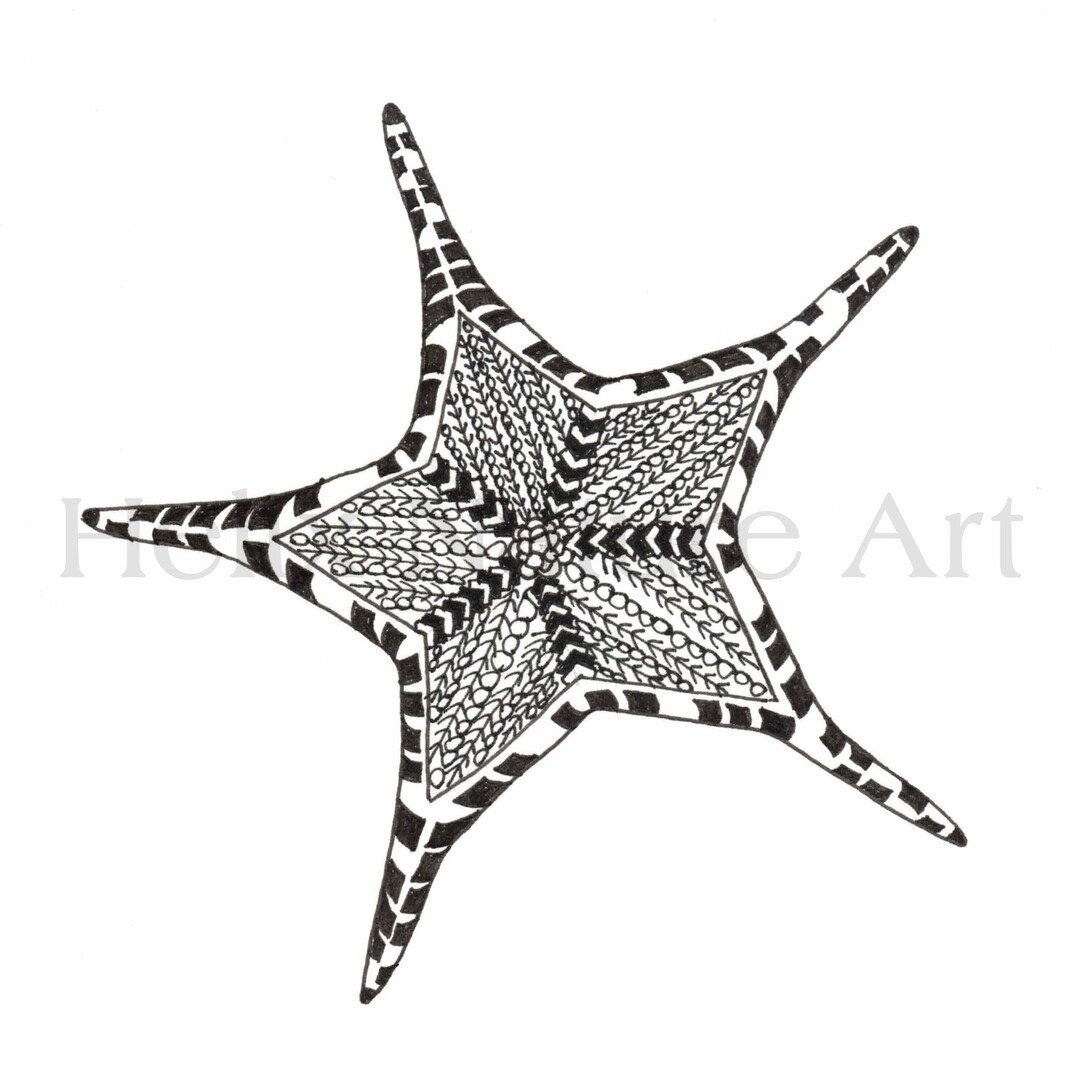 Starfish (fineline Art Print) - Etsy