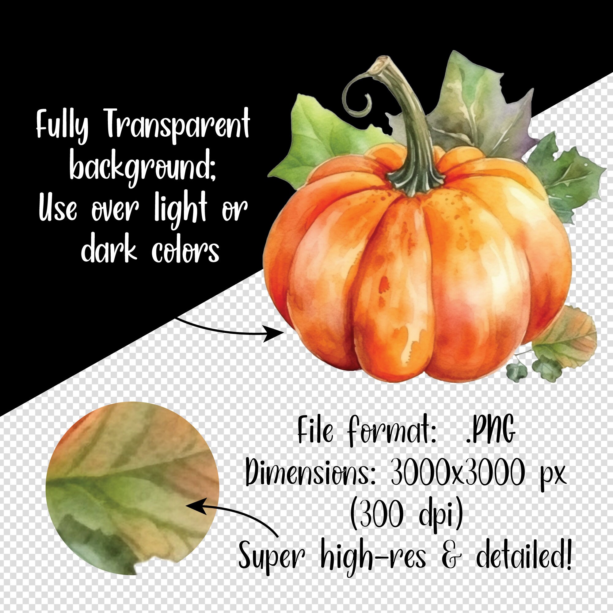 Autumn Clipart or Clip Art, Digital Art of Fall Designs, Fall PNG, PNG ...