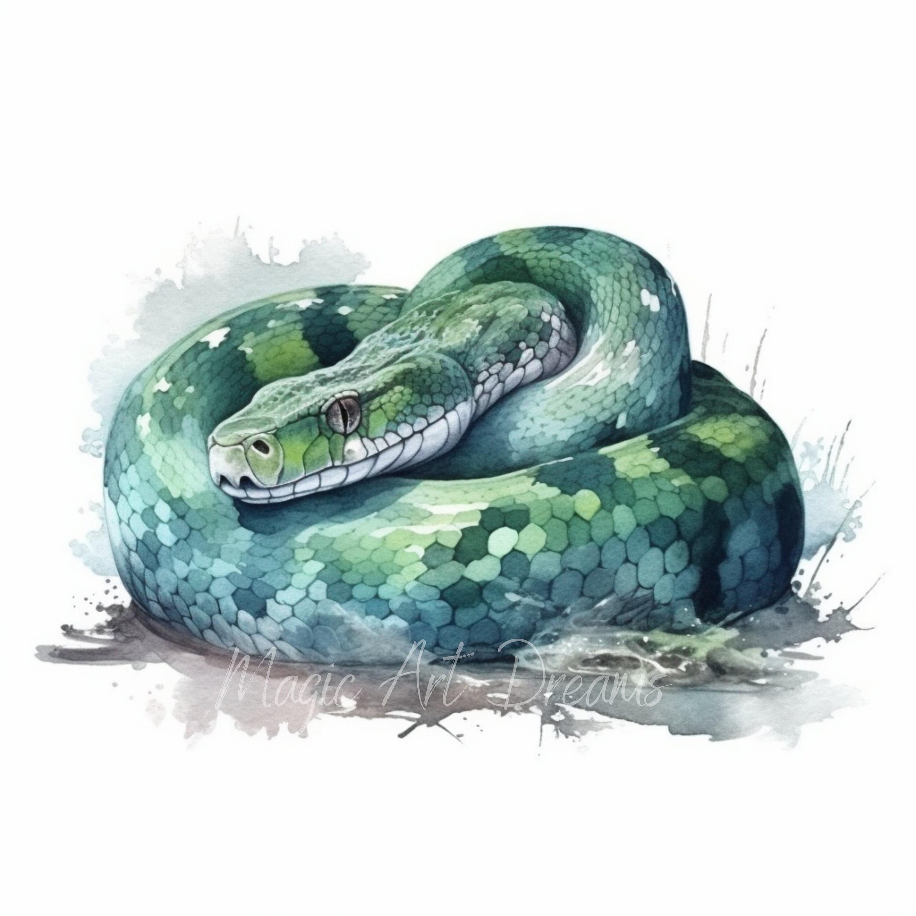 Watercolour Winter Snakes Clipart, 29 High Quality JPG, Digital ...