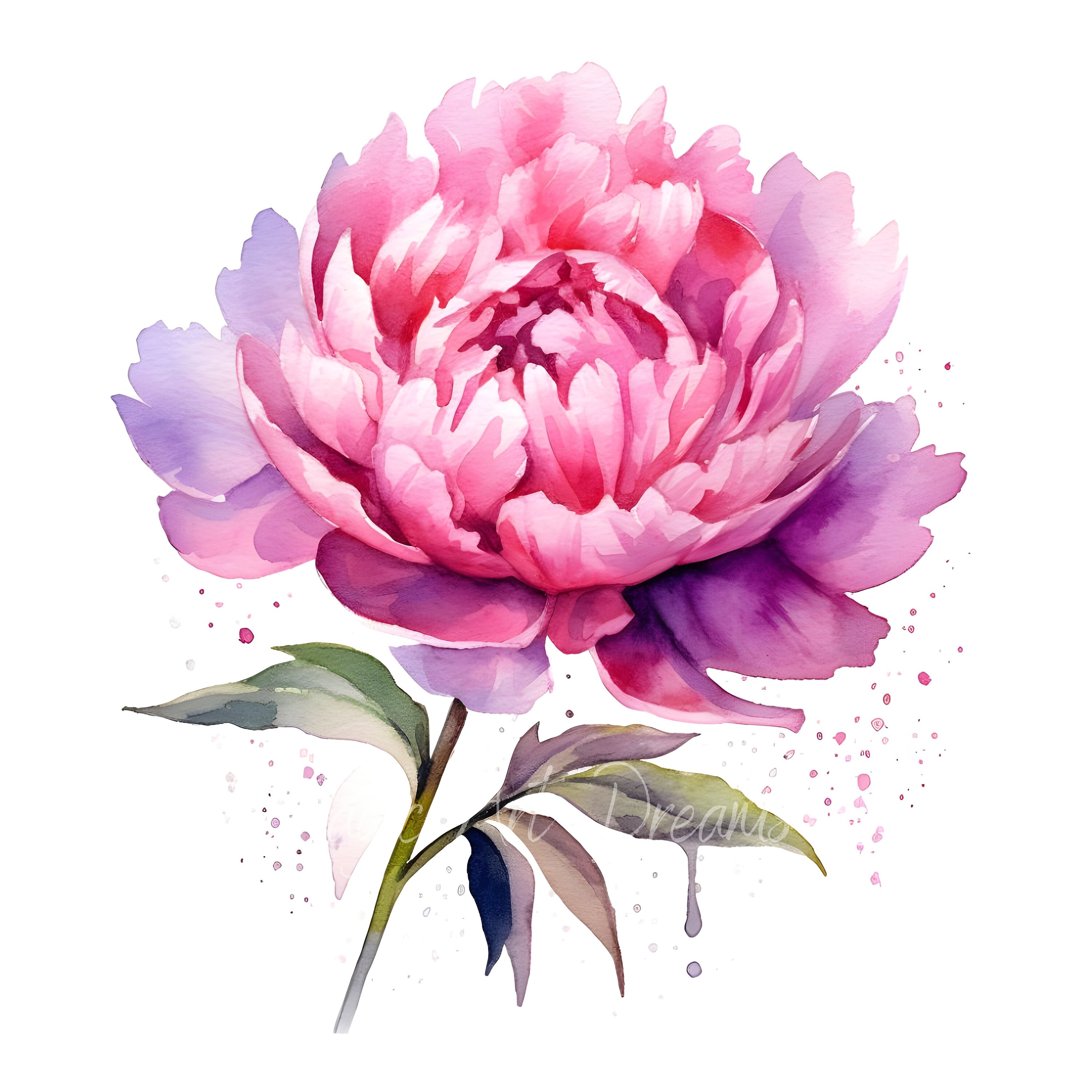 Watercolor Pink Peonies Clipart, Flowers, 13 Jpgs Download, Not ...