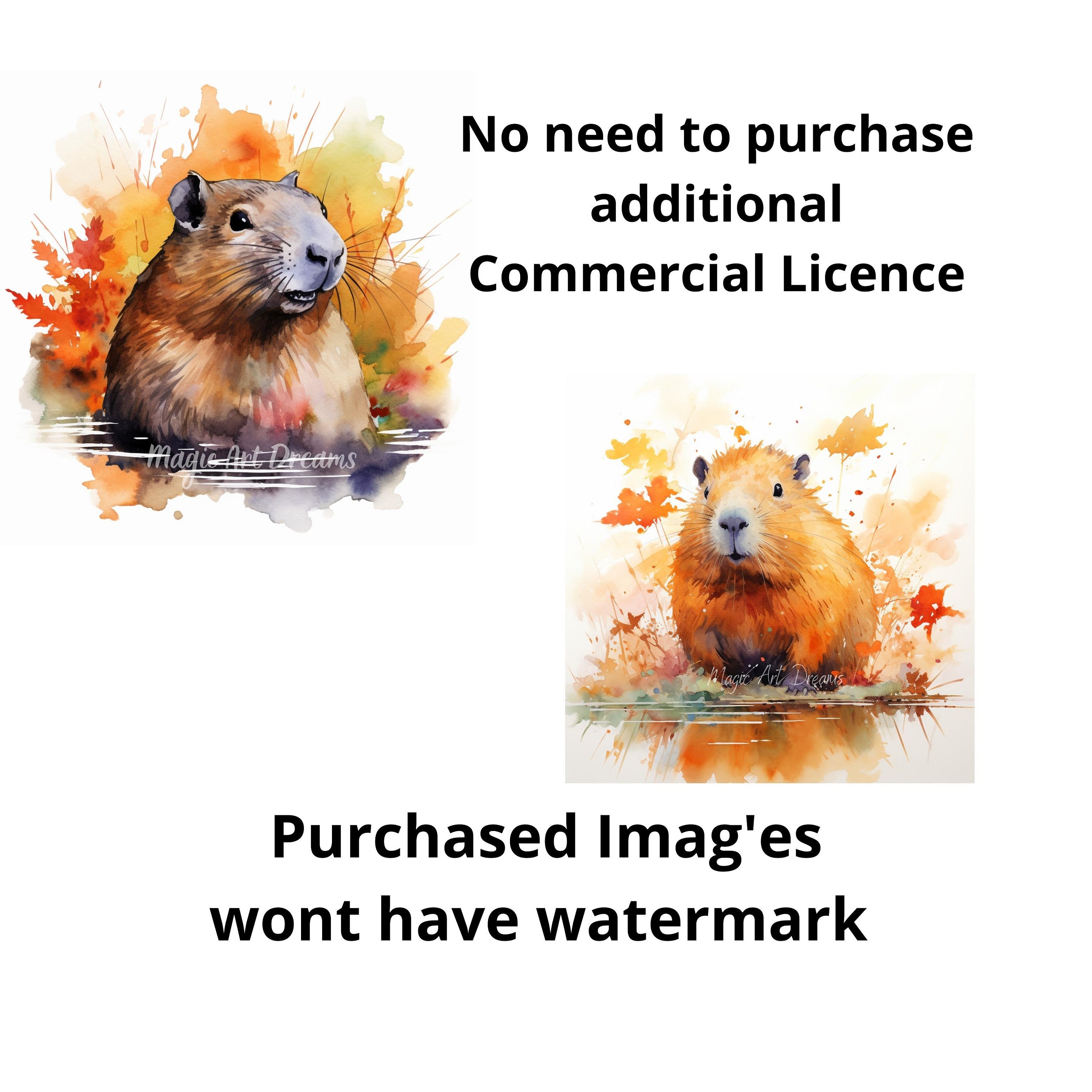 Watercolor Capybara 10pc PNG & JPEG Capybara Art Clipart Set ...