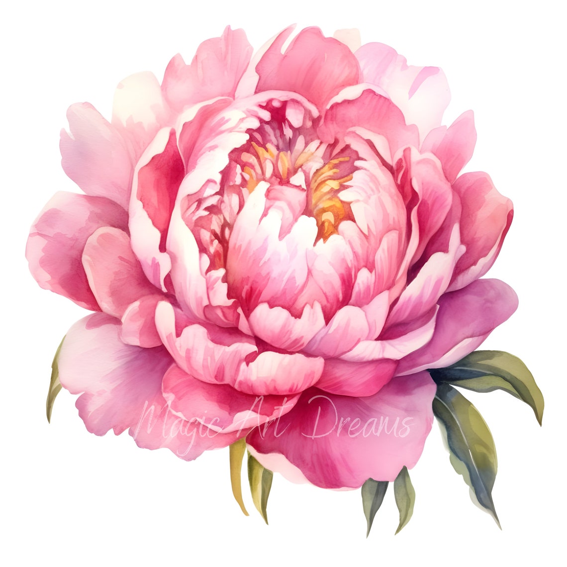 Watercolor Pink Peonies Clipart, Flowers, 13 Jpgs Download, Not ...