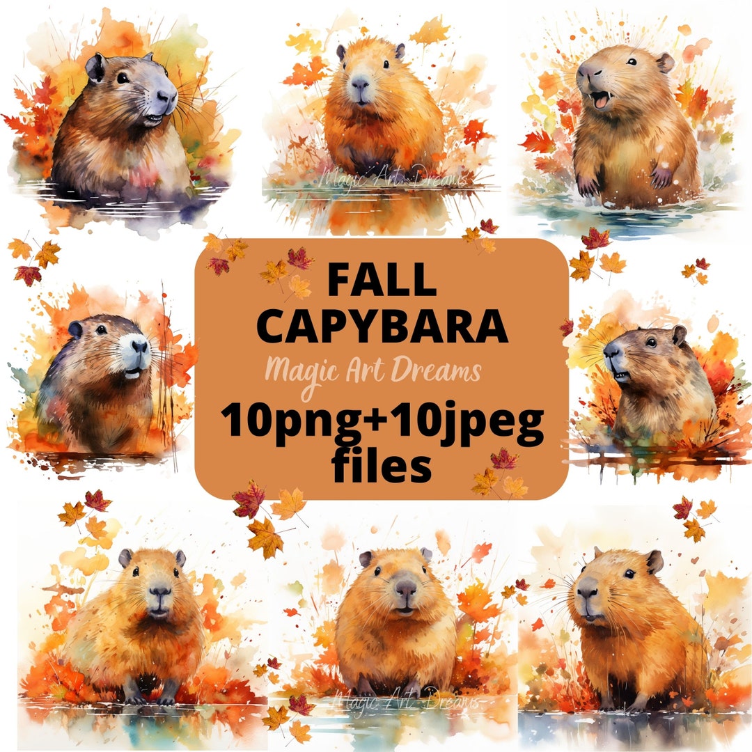 Watercolor Capybara 10pc PNG & JPEG Capybara Art Clipart Set ...