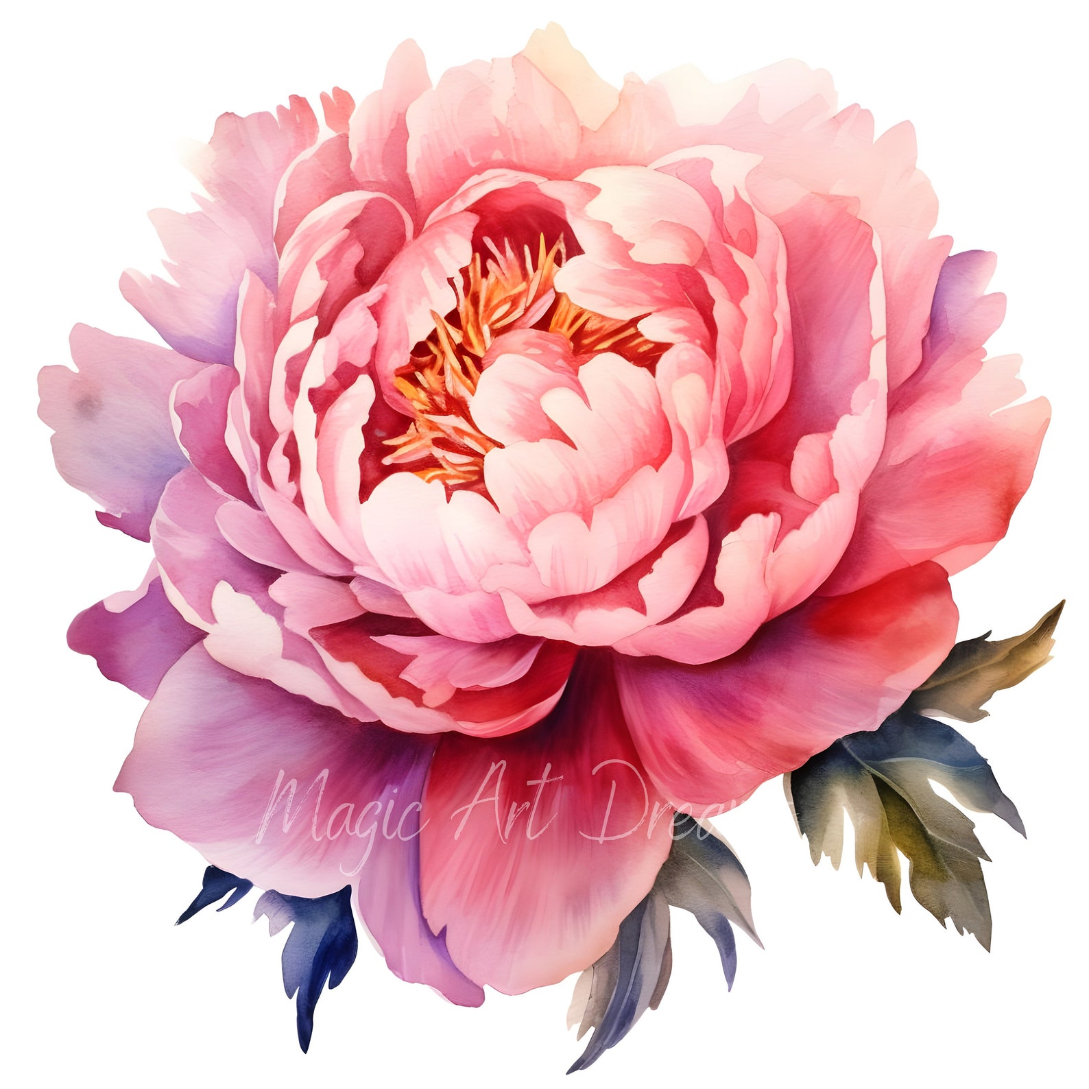 Watercolor Pink Peonies Clipart, Flowers, 13 Jpgs Download, Not ...