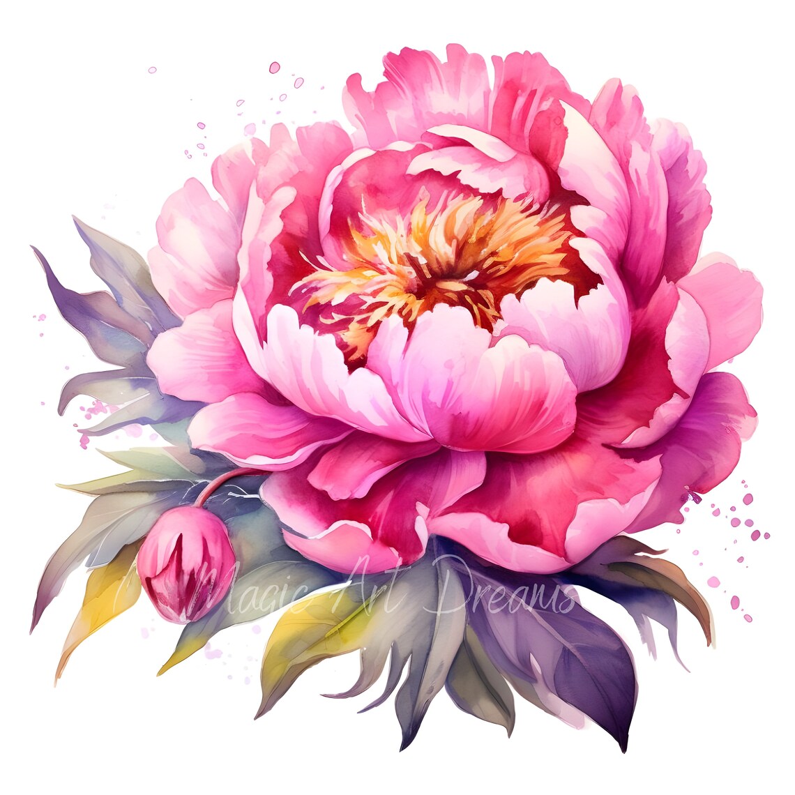 Watercolor Pink Peonies Clipart, Flowers, 13 Jpgs Download, Not ...