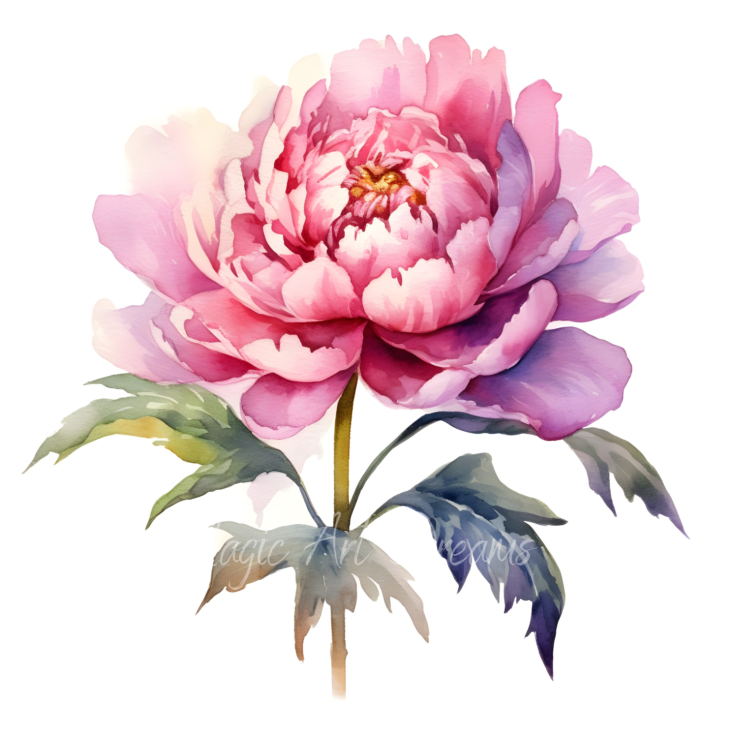 Watercolor Pink Peonies Clipart, Flowers, 13 Jpgs Download, Not ...