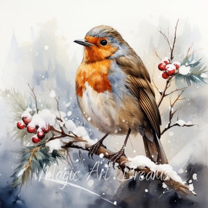 Watercolor Christmas Robin Clipart, 16 High Quality Jpgs, Digital Paper ...