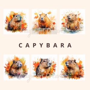 Watercolor Capybara 10pc PNG & JPEG Capybara Art Clipart Set ...