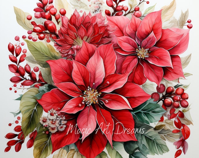 Watercolor Christmas Poinsettia Clipart, 13 Jpgs Download, Winter Red ...