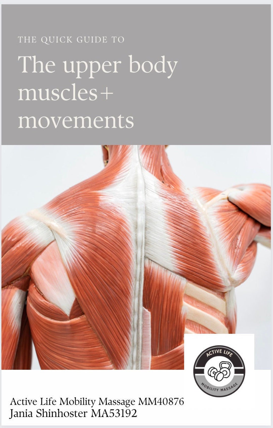 Upper Body Muscles + Movements - Etsy