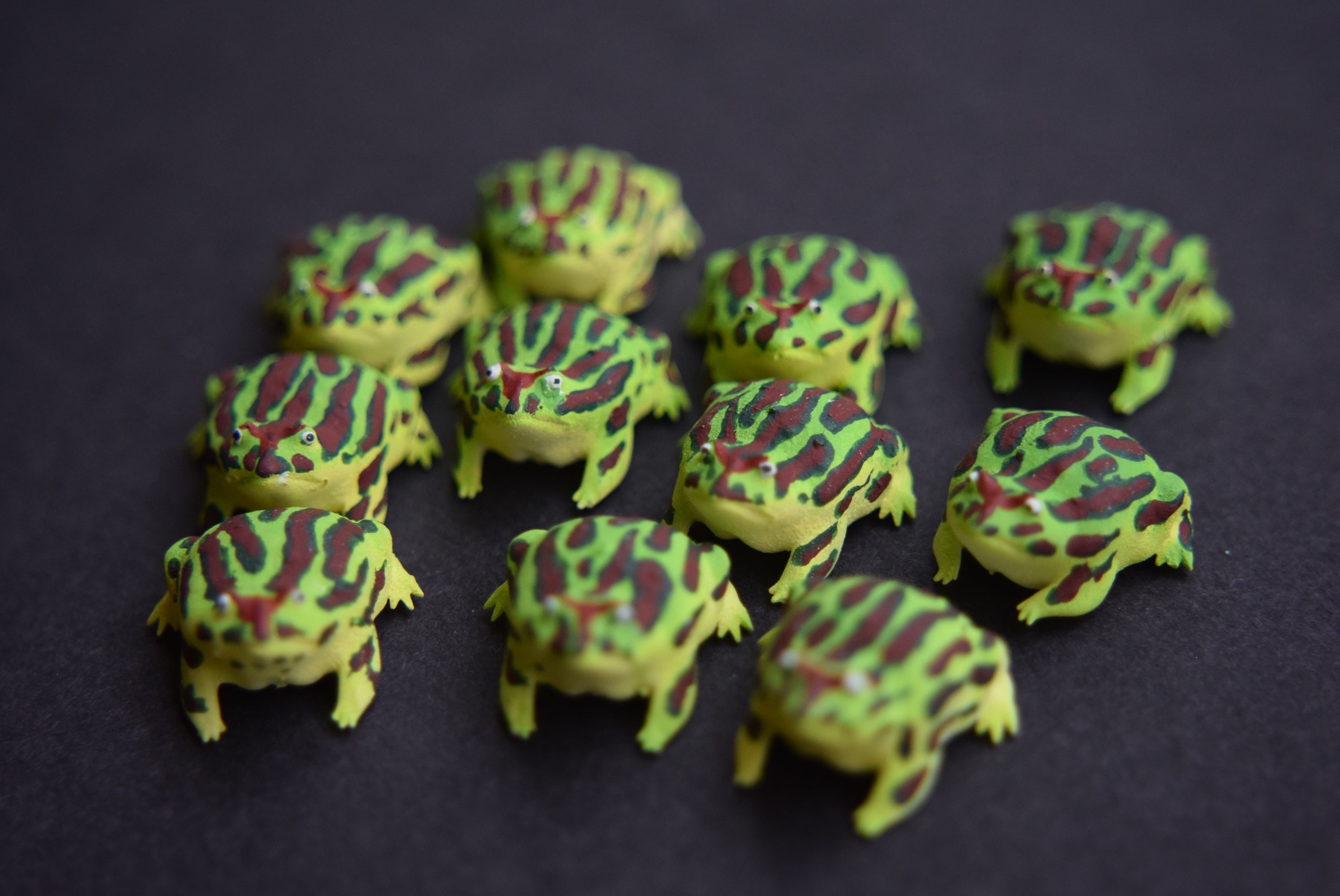 Tiny Pacman South American Horned Frog - Etsy