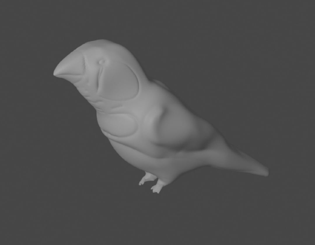 Zebra Finch STL for 3d Printing - Etsy