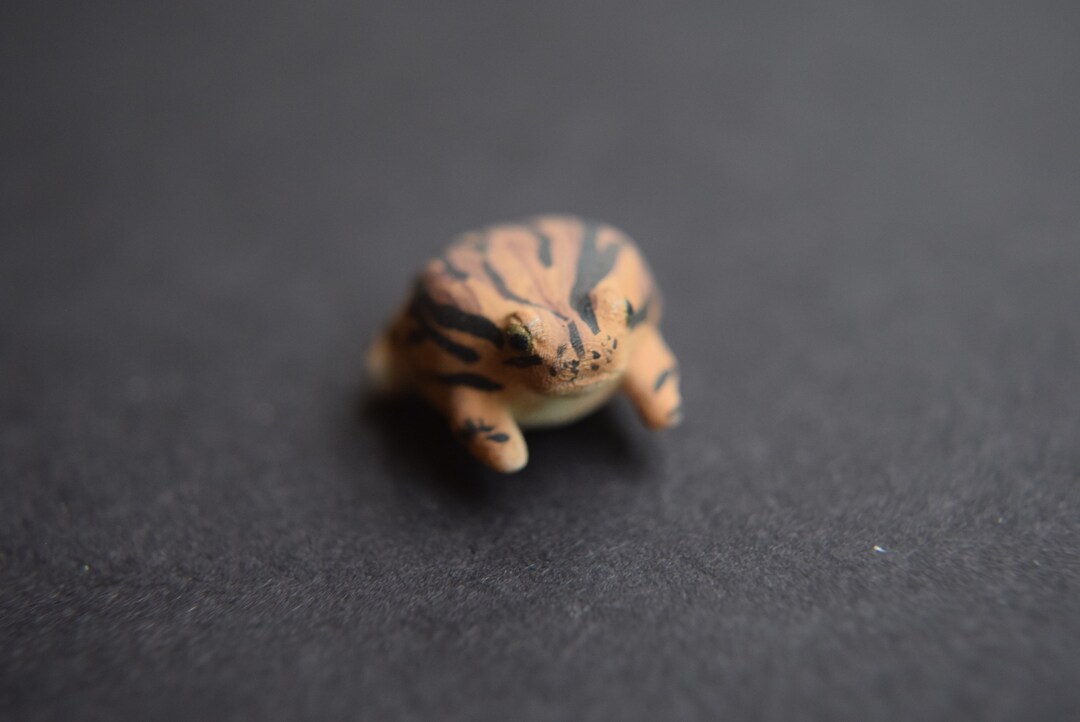 Tiny Rain Frog - Etsy