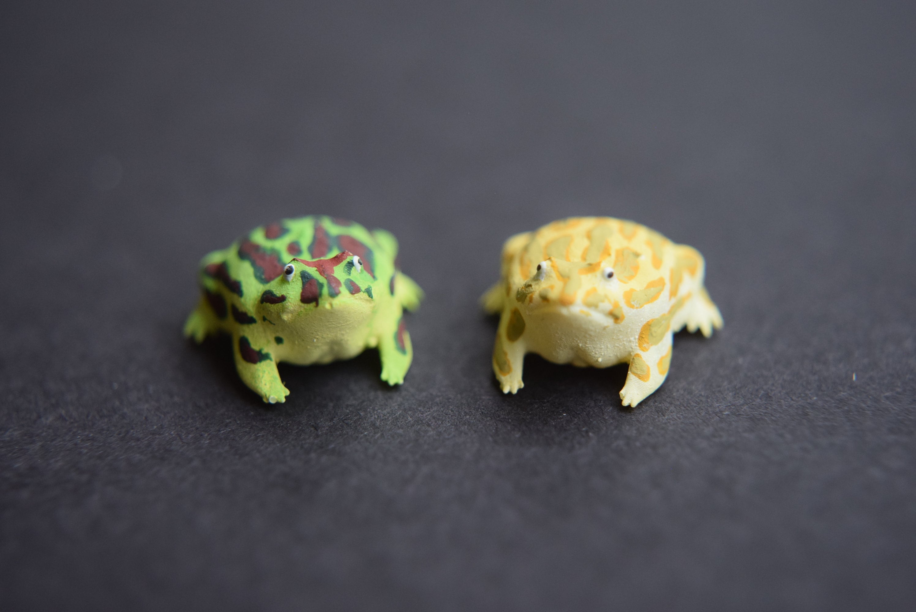 Tiny Pacman South American Horned Frog - Etsy