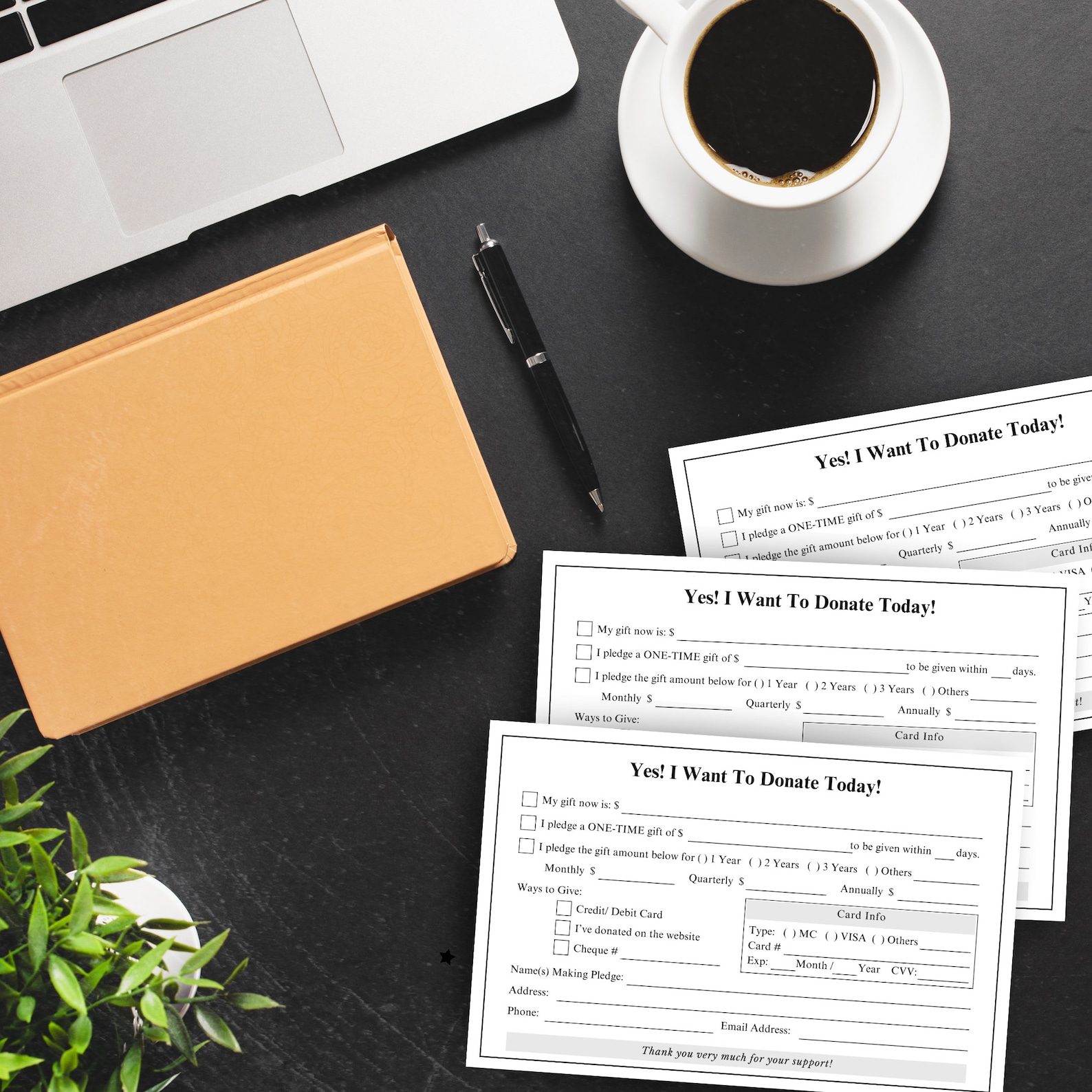 Editable Donation Card Printable Pledge Form, Donation Form, Donation ...