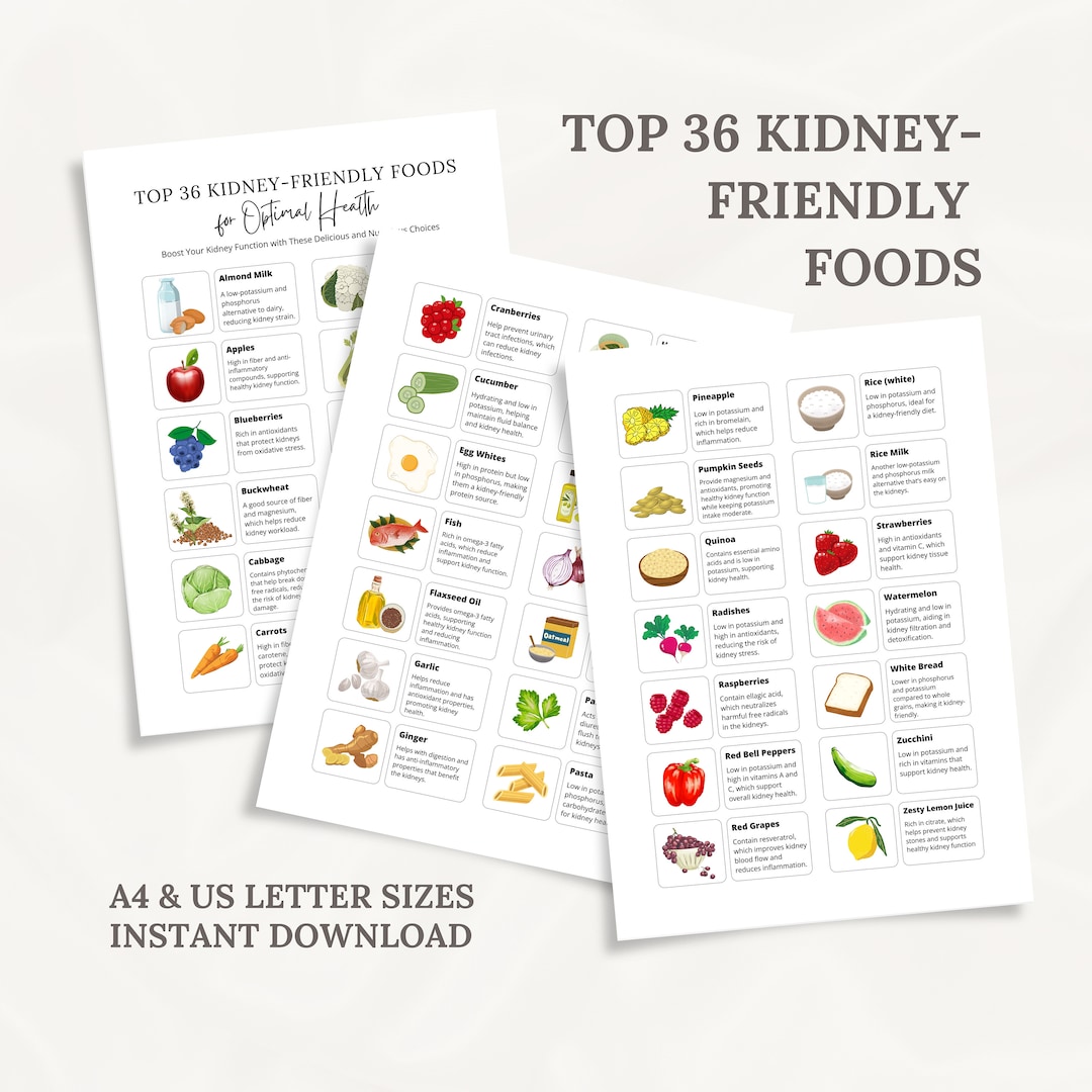 Kidney Disease Food List Kidney Friendly Food List PDF Printable A4 ...