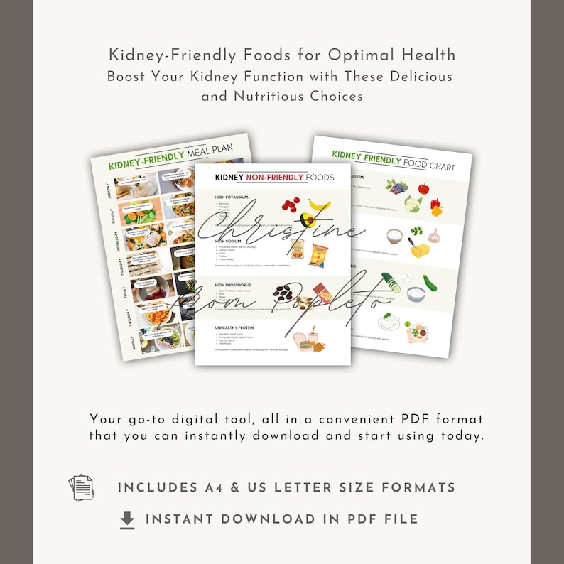 Renal Diet Food Chart | Kidney Disease, Low Sodium (PDF) - Etsy