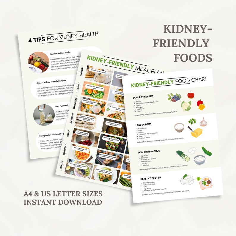 Renal Diet Food Chart | Kidney Disease, Low Sodium (PDF) - Etsy