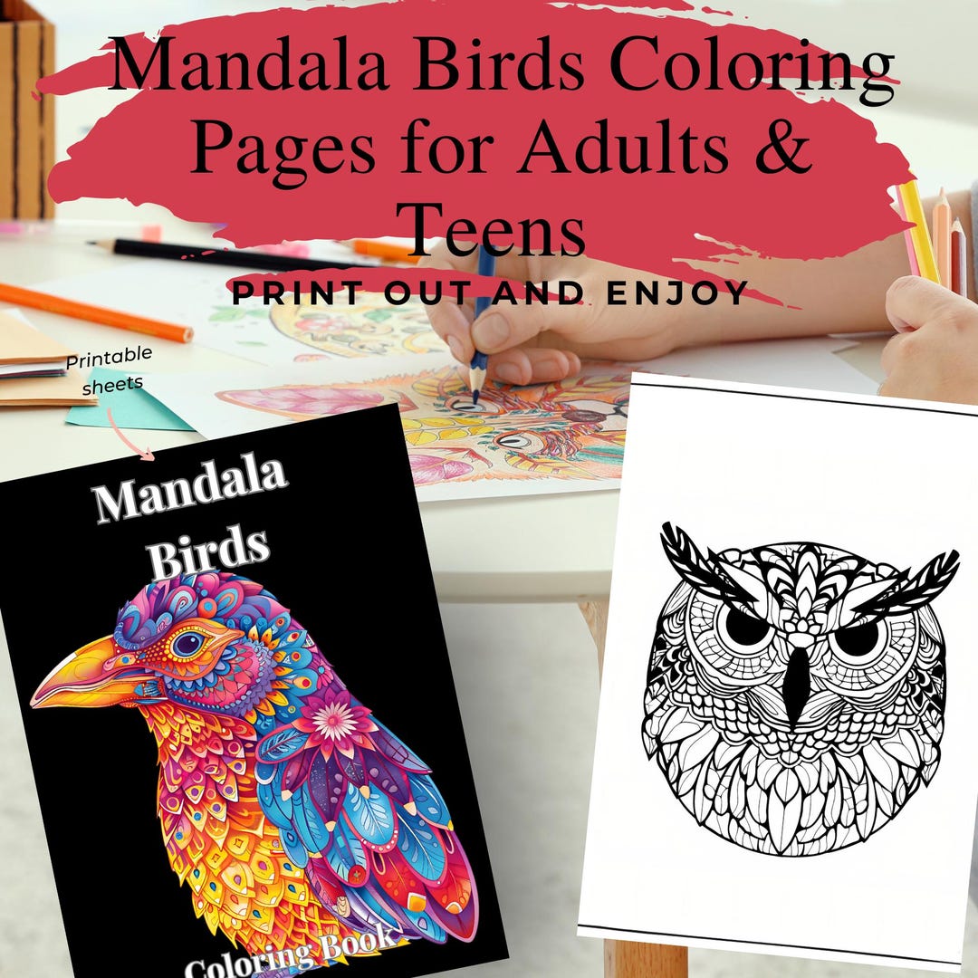 Mandala Birds and Parrots: A Journey of Mindfulness With Adult Coloring ...