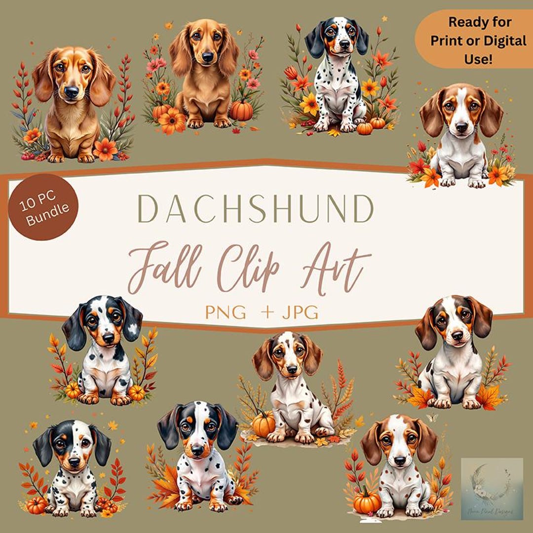 Dachshund Fall Clip Art Set - 10 PC Bundle, Cute Autumn Dog PNG JPG ...