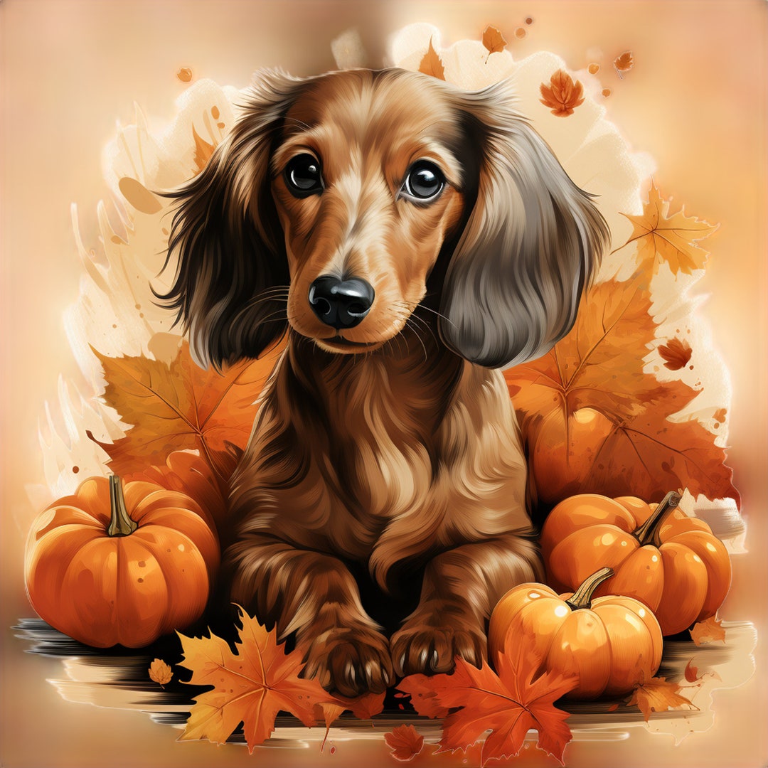 Dachshund Watercolor Fall Clip Art, Vibrant and Adorable Digital ...