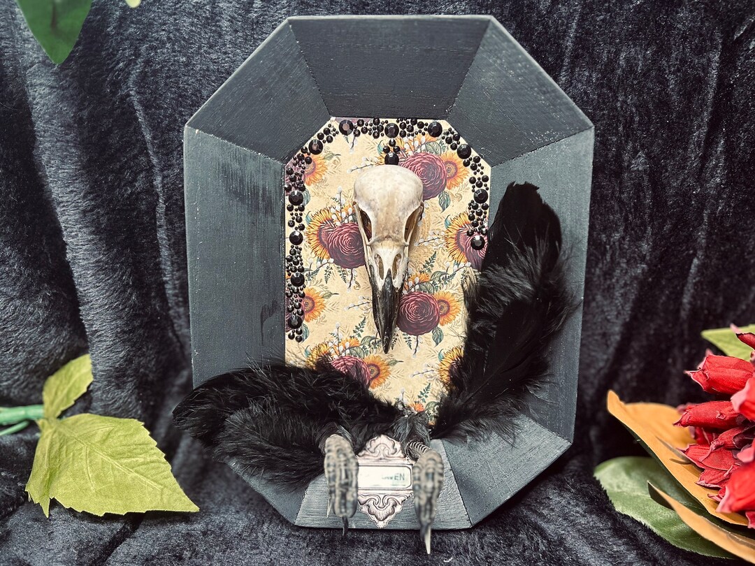 Raven Skull and Talons - Etsy