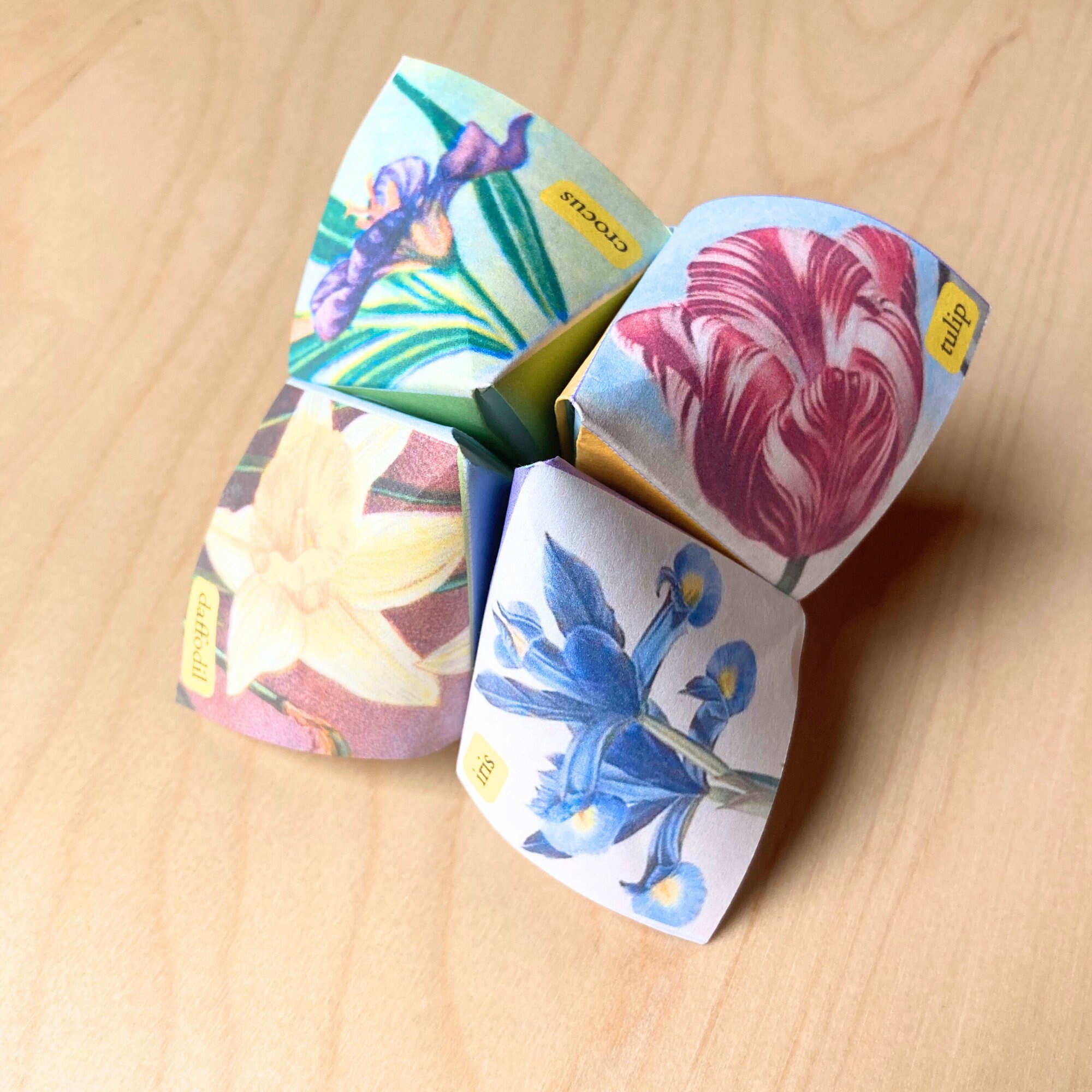 Printable Springtime Fortune Teller Literary Quotes Activity Digital ...