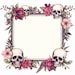 10 Skeleton Frames - Skull Frames - Digital Images - Etsy