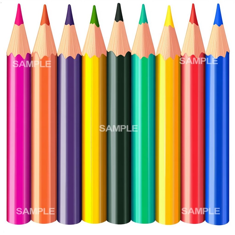 Colored Pencils Clipart - PNG Format - Etsy