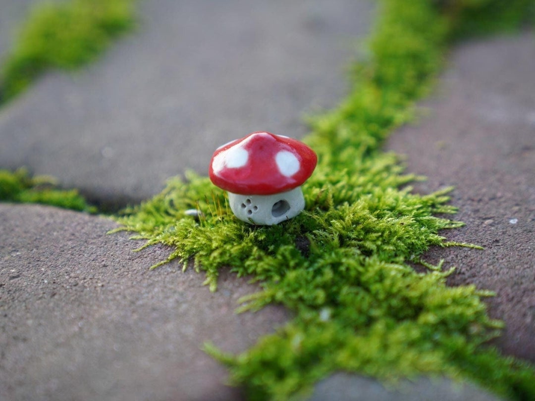 Little Ceramic Mushroom Fairy House - Etsy
