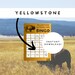 National Park Bingo - Yellowstone - Etsy