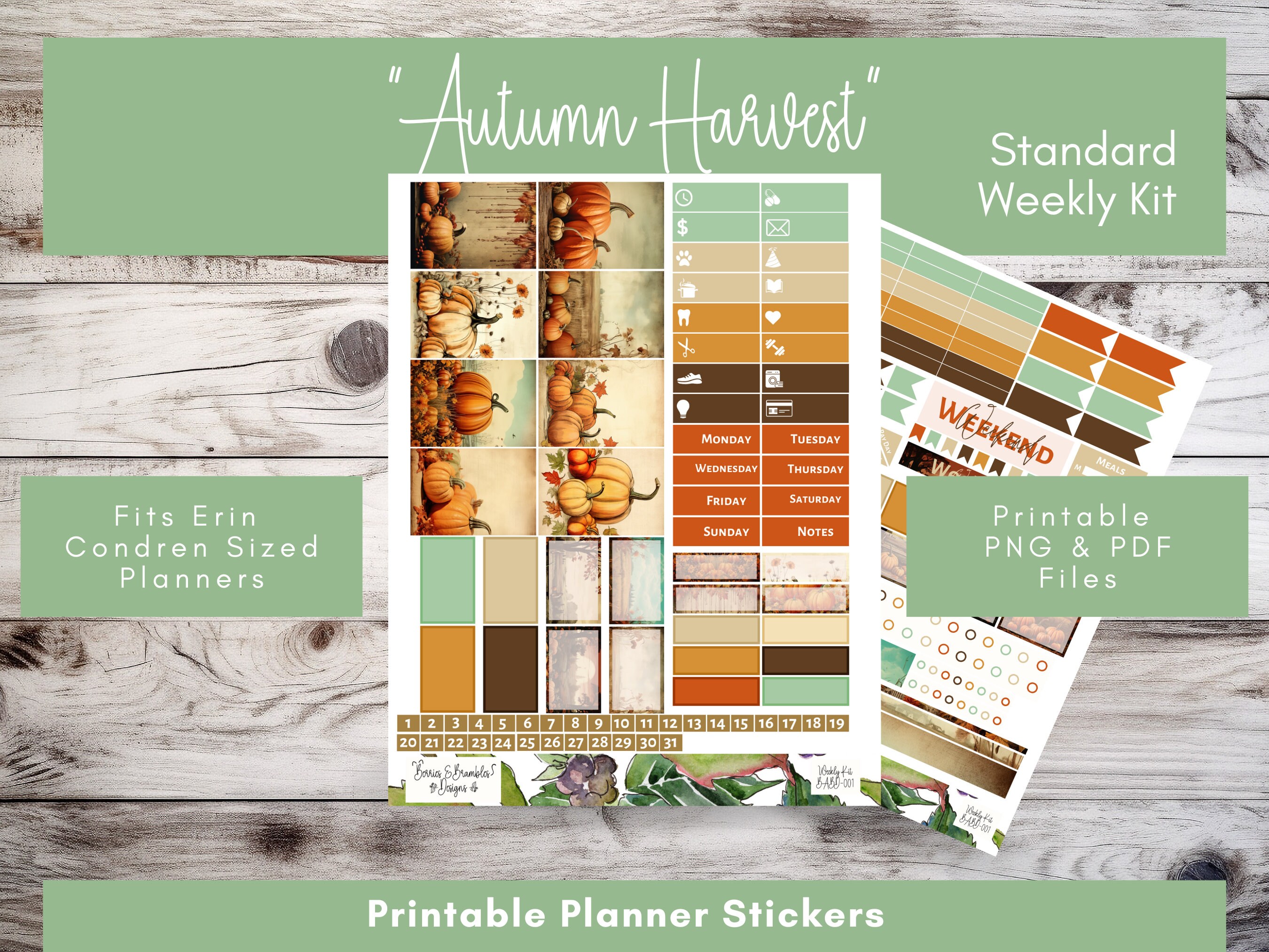 Planner Sticker Weekly Kit Printable Template Digital Sticker Sheet ...