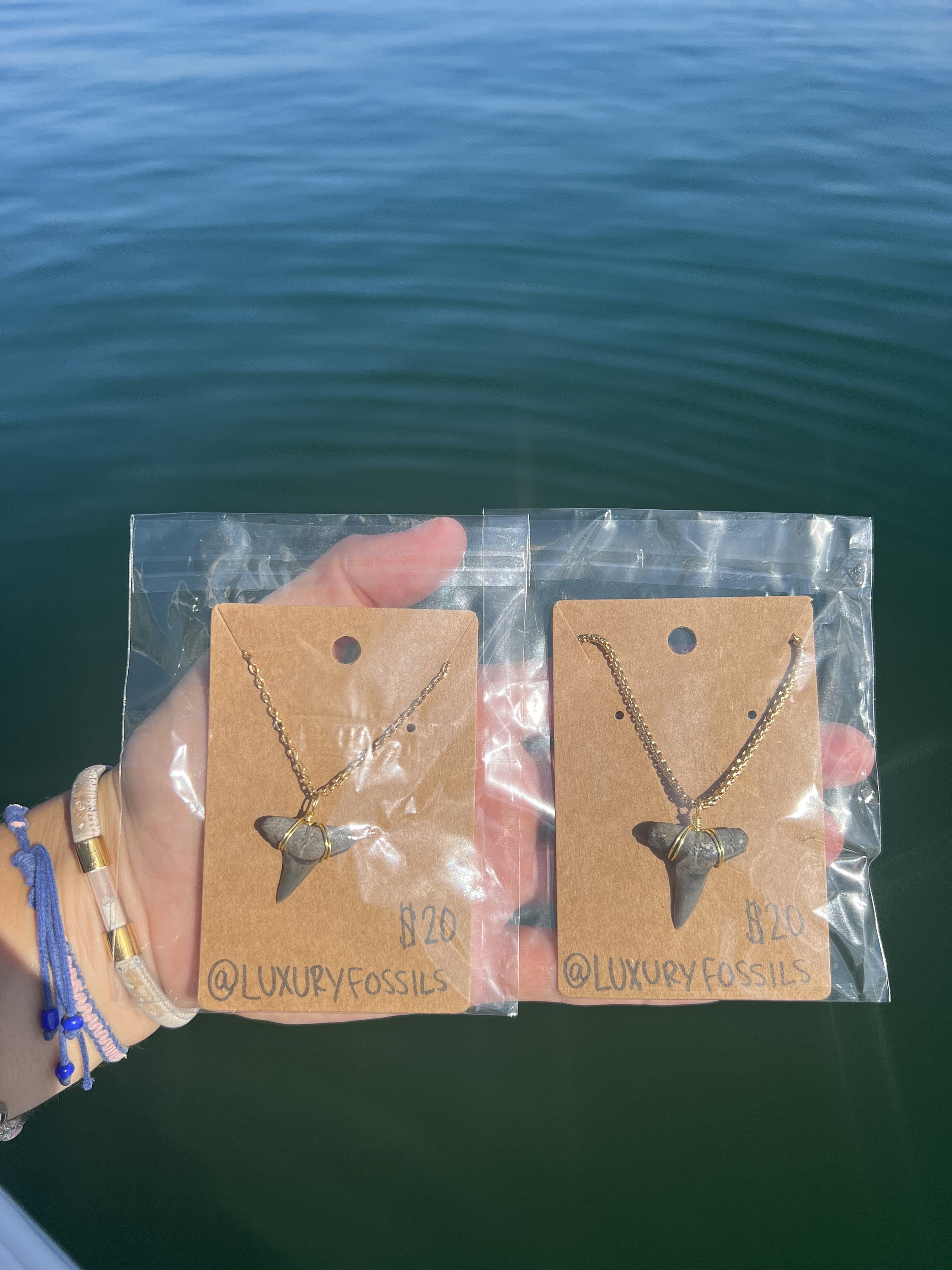 Gold Chain Sharks Tooth Necklace - Etsy
