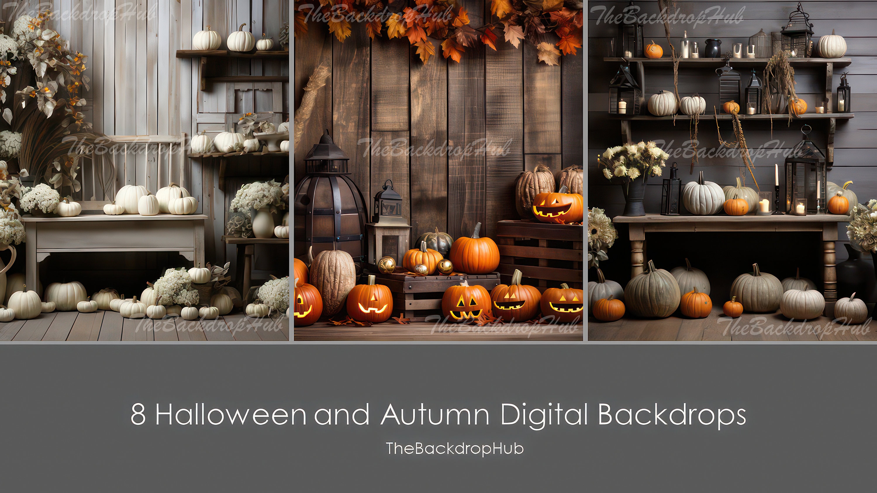 8 Halloween and Autumn Digital Backdrops, Background, Portrait ...