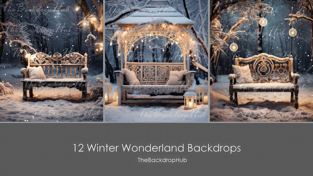 12 Winter Wonderland Digital Backdrops, Portrait Backdrop, Photoshop ...