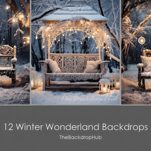 12 Winter Wonderland Digital Backdrops, Portrait Backdrop, Photoshop ...