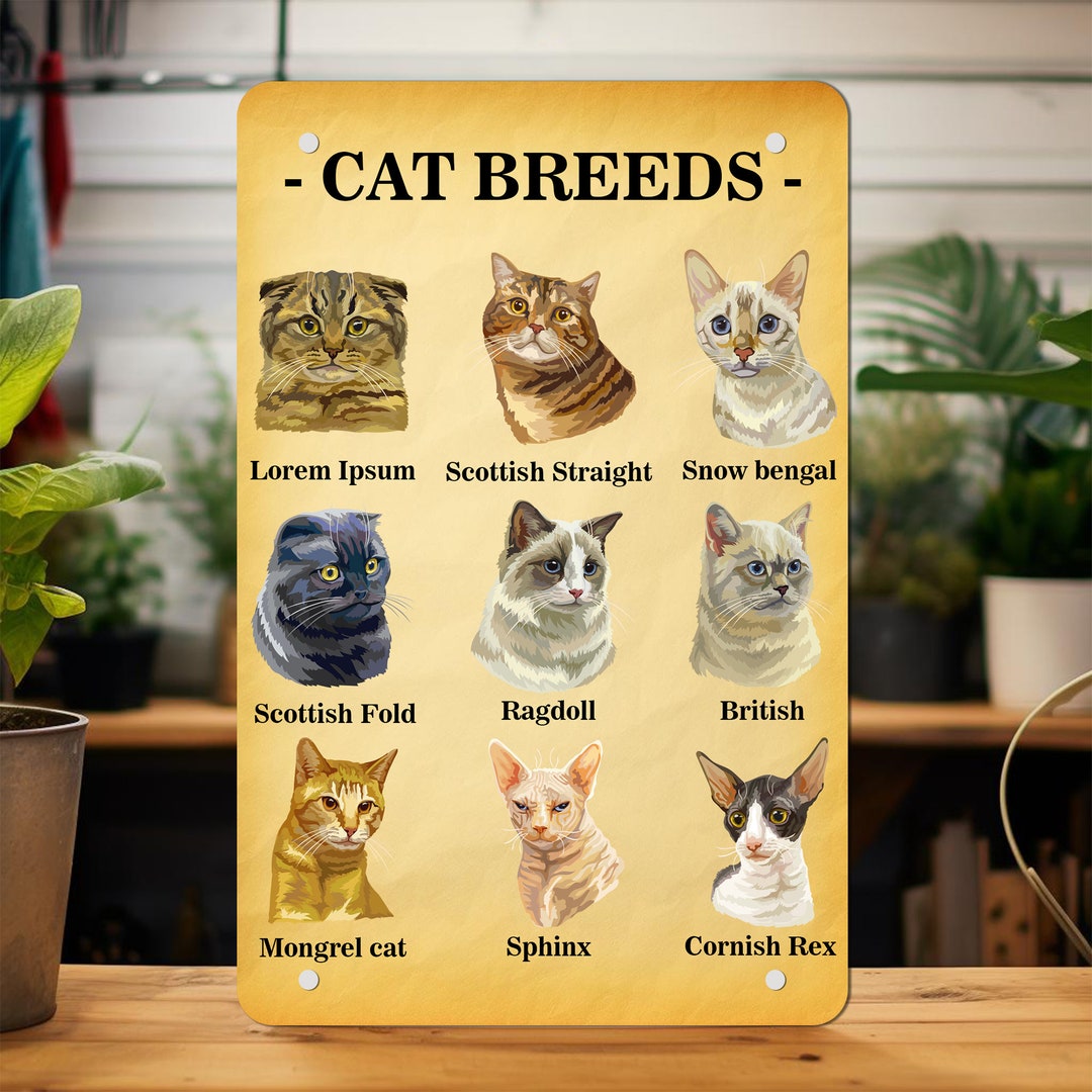 Cat Breeds Metal Sign Cats Poster Cat Knowledge Poster Funny Cat Sign ...