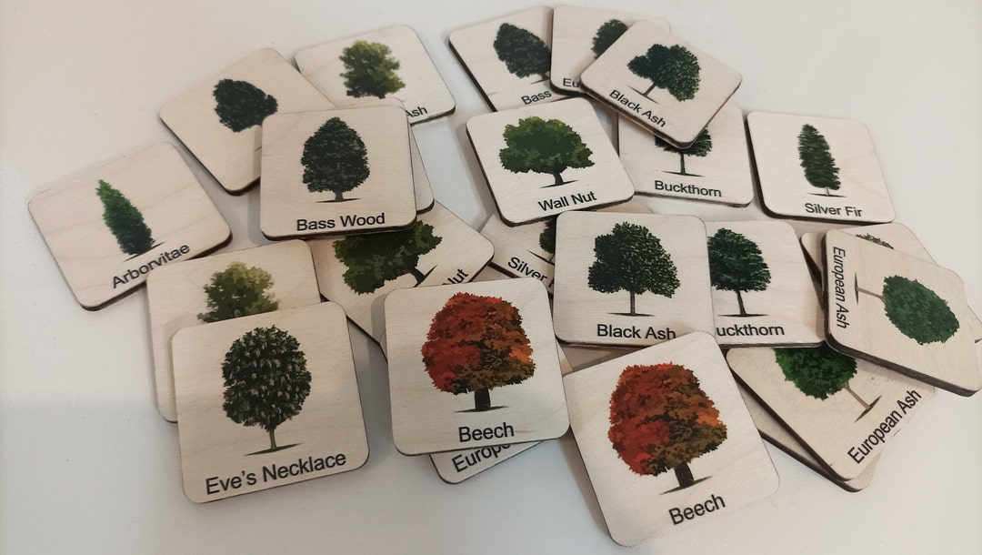 Trees Matching Game montessori Nature Game-wooden Tree Cards-christmas ...