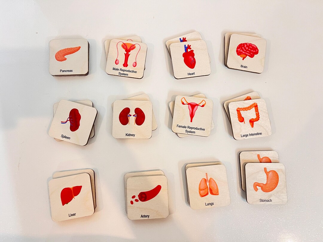 Wooden Flash Cards Preschool Kindergarten Toddler Vehicle Matching ...