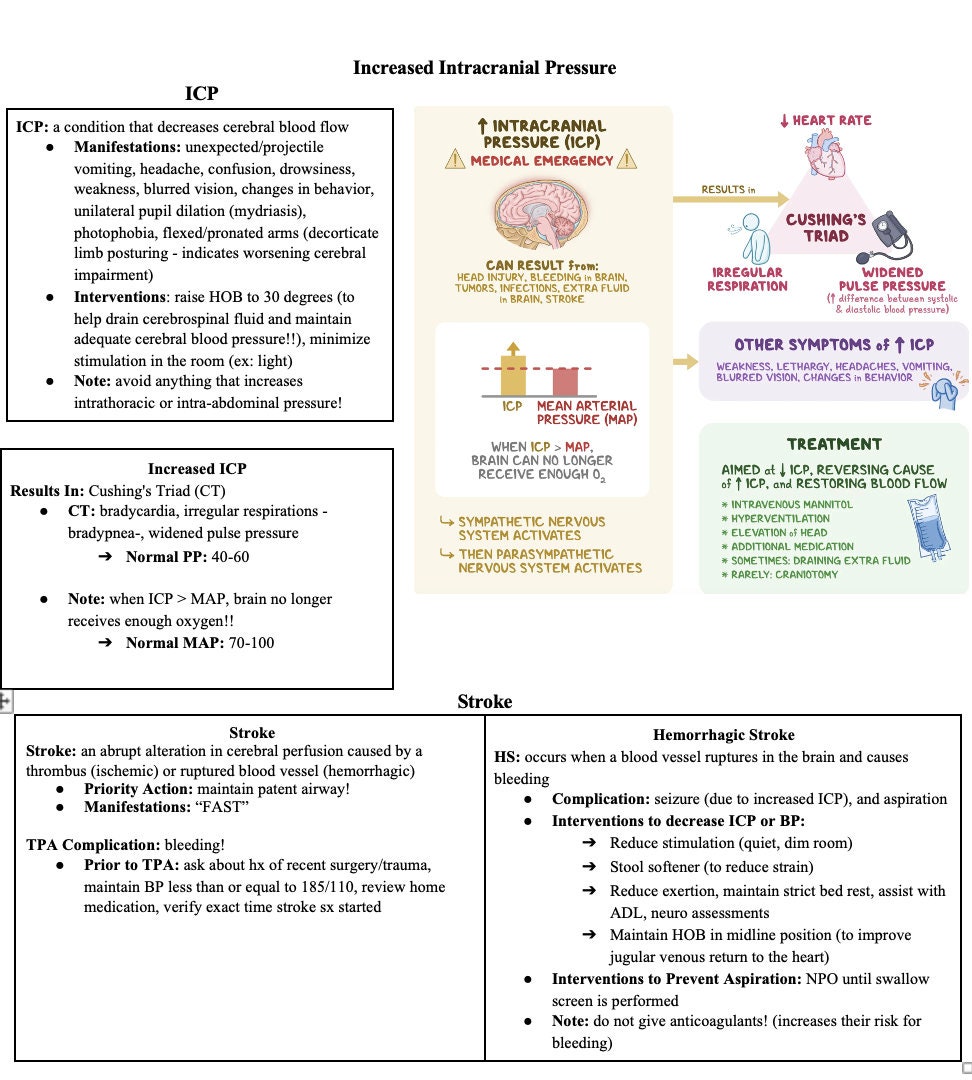 NCLEX Next Gen Medical Surgical Full Study Guide Review - Etsy