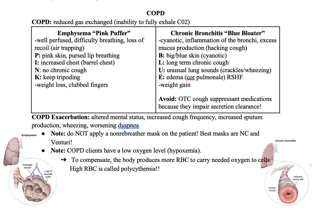 NCLEX Next Gen Medical Surgical Quick Study Guide Document Breakdown - Etsy