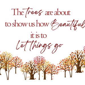 The Trees Are About to Show Us How Beautiful It is to Let Things Go ...