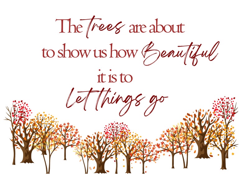 The Trees Are About to Show Us How Beautiful It is to Let Things Go ...