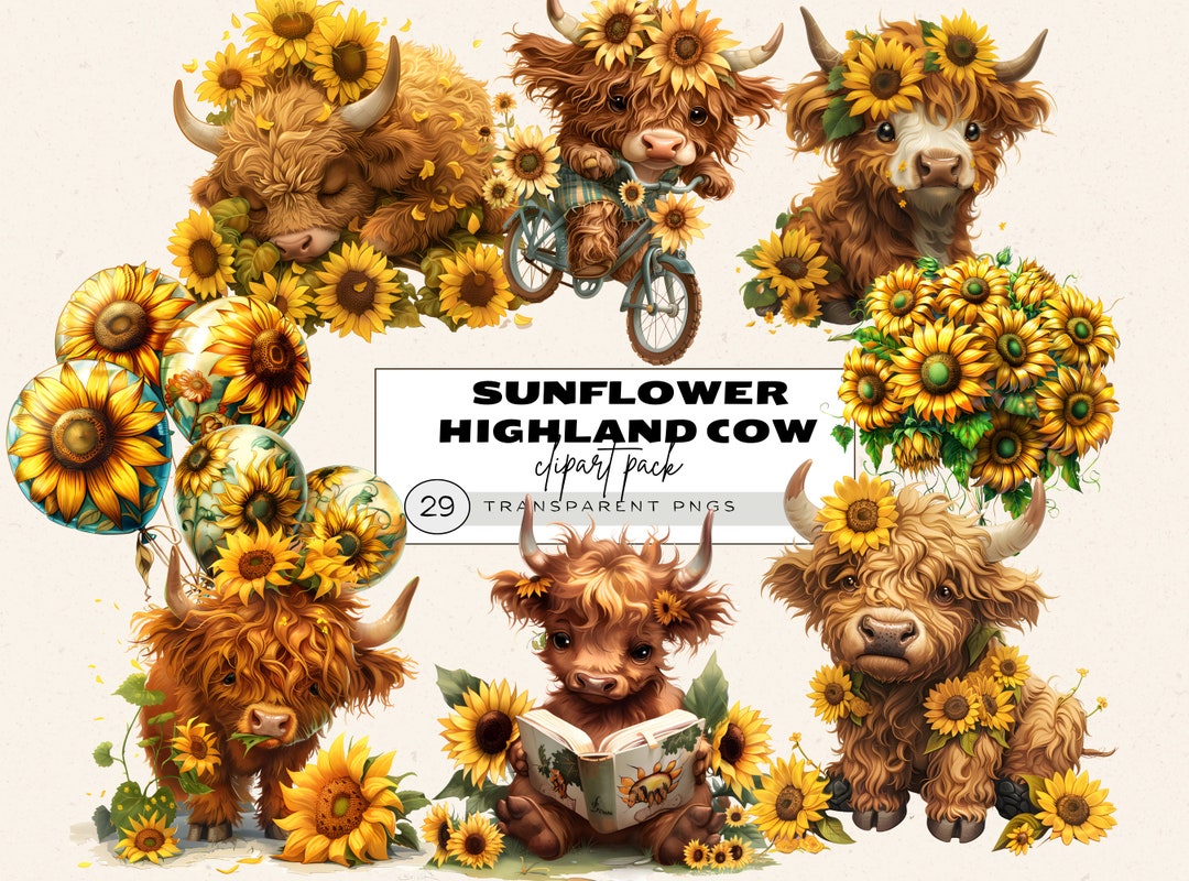 Watercolor Sunflower Highland Cows Collection Clipart, Highland Cow and ...