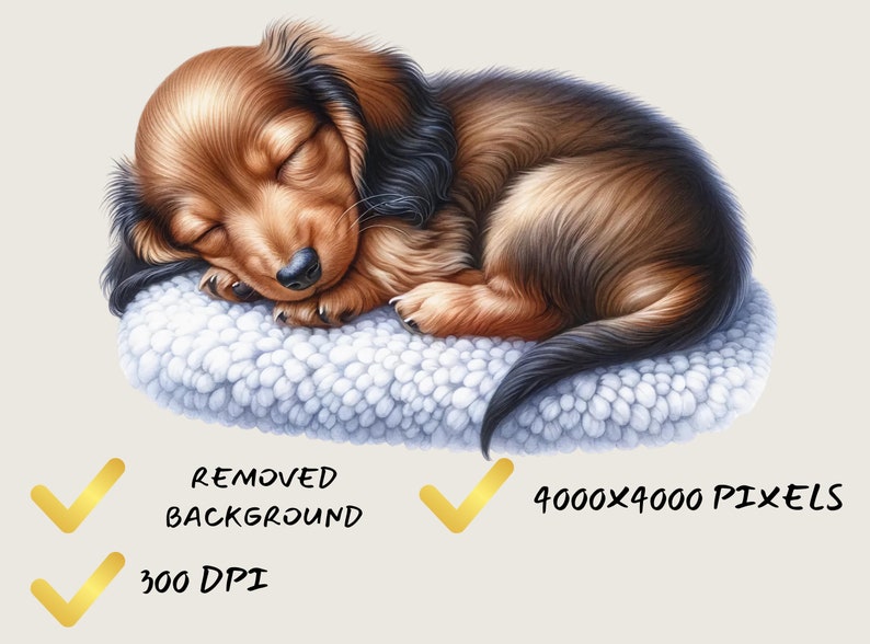 Long Haired Dachshund Png, Funny Dachshund Clipart, Weiner Dog Clipart ...