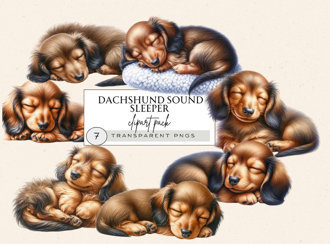 Long Haired Dachshund Png, Funny Dachshund Clipart, Weiner Dog Clipart ...