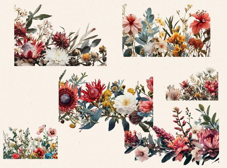 Wilde Floral Frames Clipart, Australian Native Flowers Clipart ...
