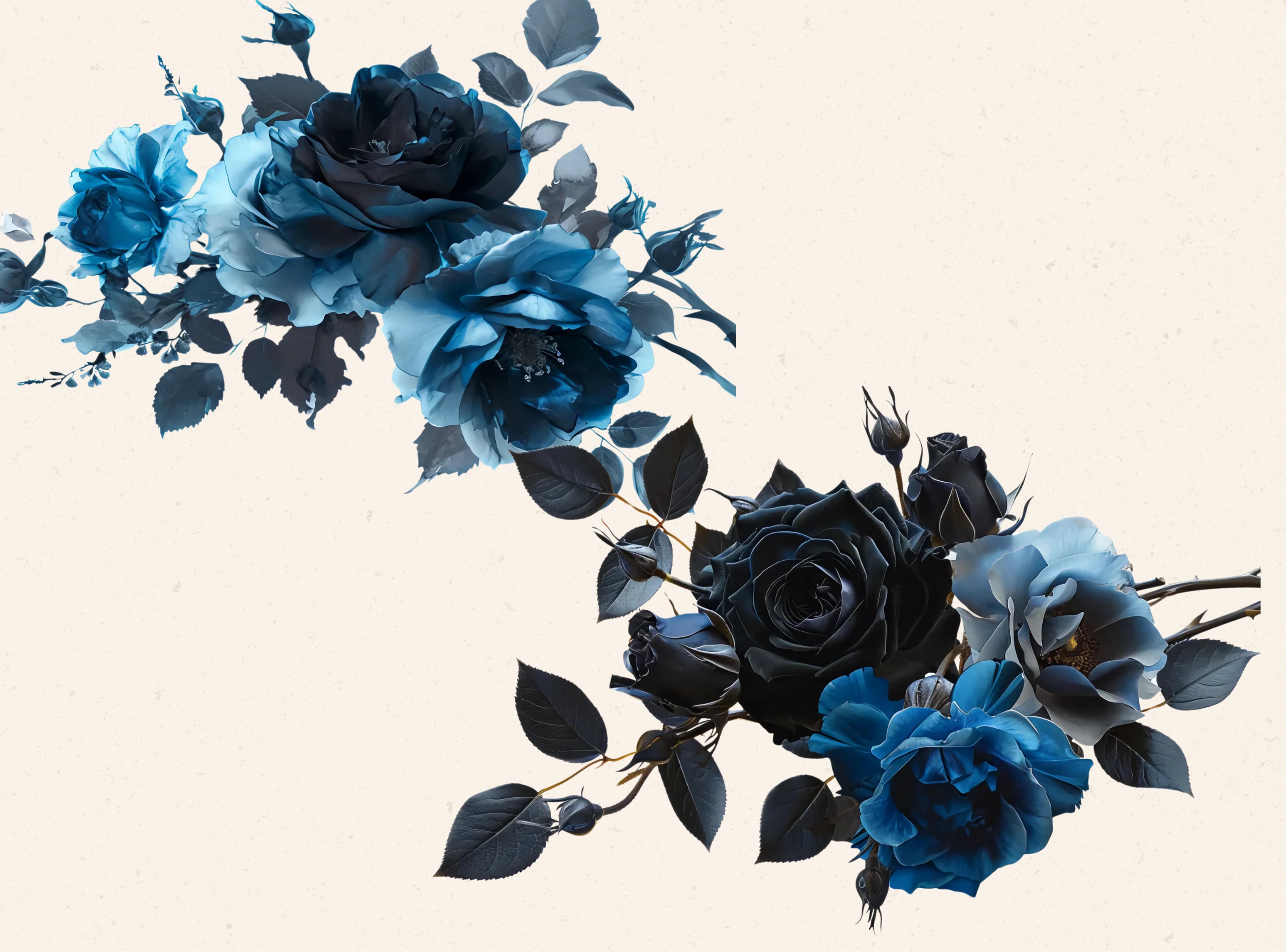 Blue and Black Rose Clipart, Vintage Rose Clipart, Enchanted Rose Png ...