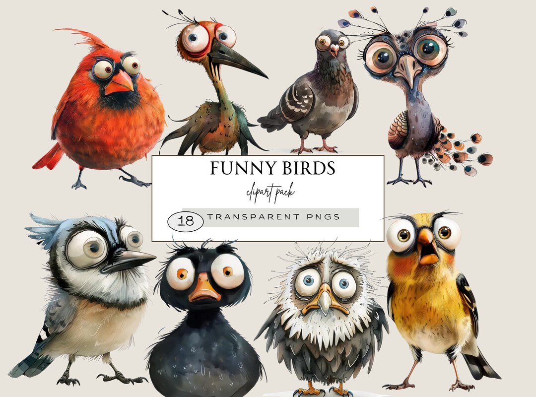 Funny and Cute Birds Clipart, Quirky Birds Clipart, Quirky Bird Clipart ...